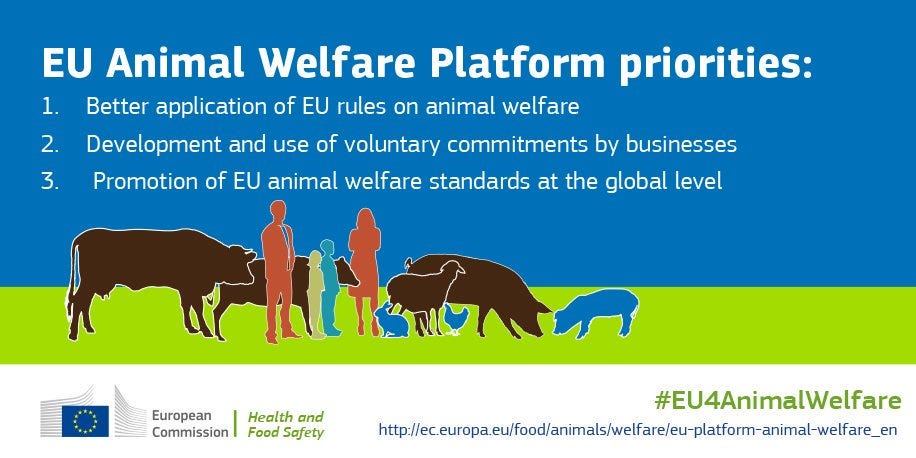 Animal Welfare: In EU and U.S., Happy Animals are Healthy Animals | by ...