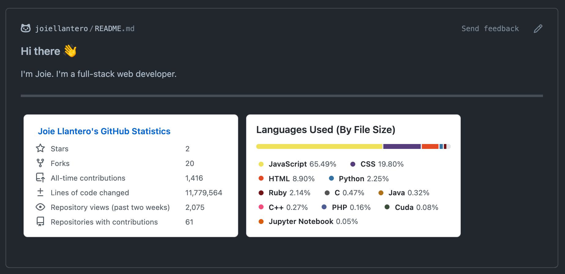 Build GitHub Profile Visualizer with Svelte
