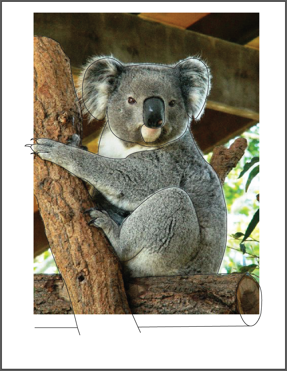 Pen Tool Animal - Communication Design Fundamentals - Medium