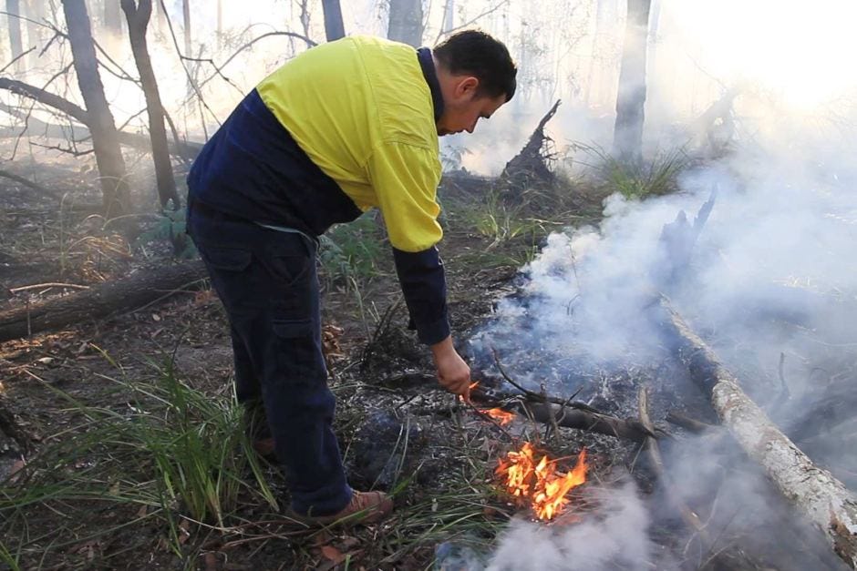 Cultural Burning Stops Australian Inferno Dead in its Tracks. | by ...