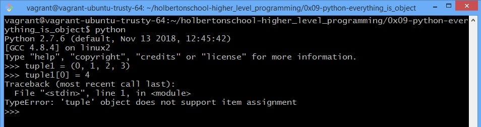 Your will and courage must be as tuples in Python: immutable. | by John ...
