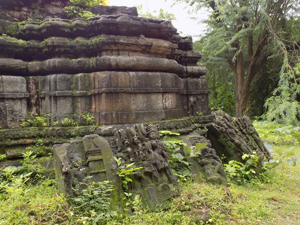 Polo Forest — A historical yet adventurous experience! | by Gunjan ...