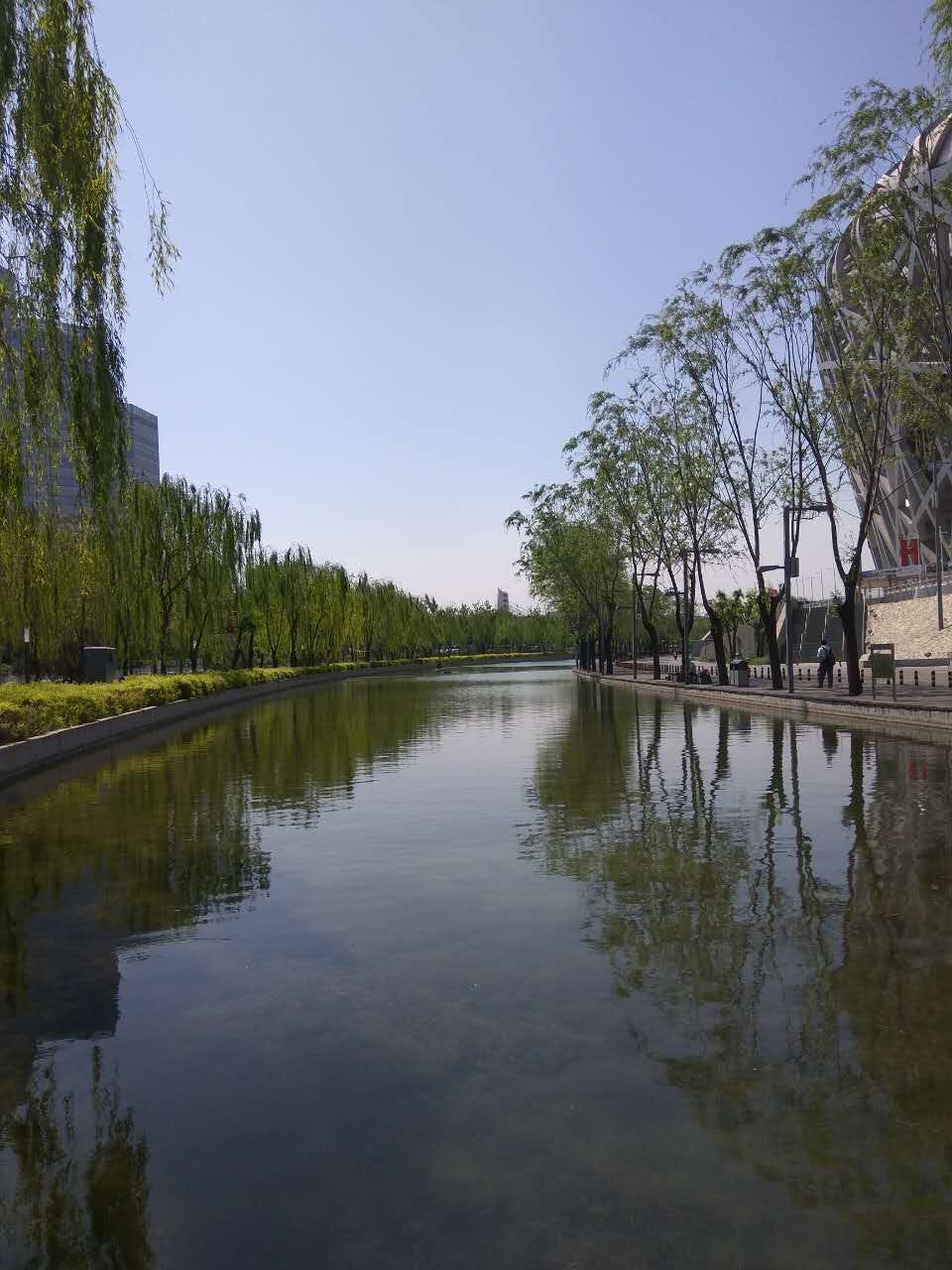 Summer. Beijing in the summers is a different… | by Mithila Phadke ...