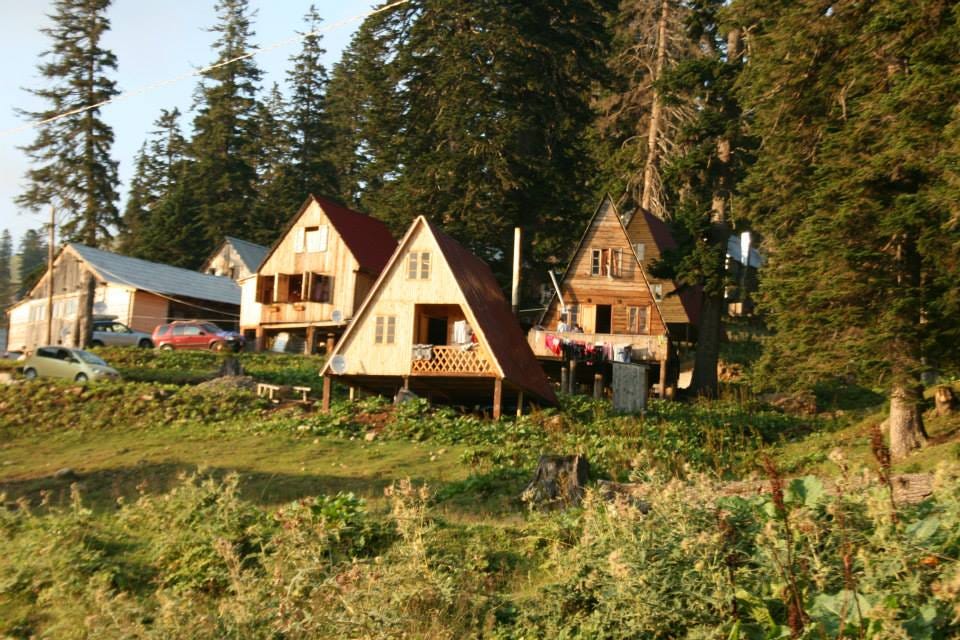 How I Fell in Love with Rural Georgia! | by Natia Pashurishvili | Medium