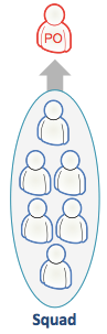 UMA ORGANIZAÇÃO DEFINIDA POR SQUADS | by Gustavo de Boer Endo | Medium