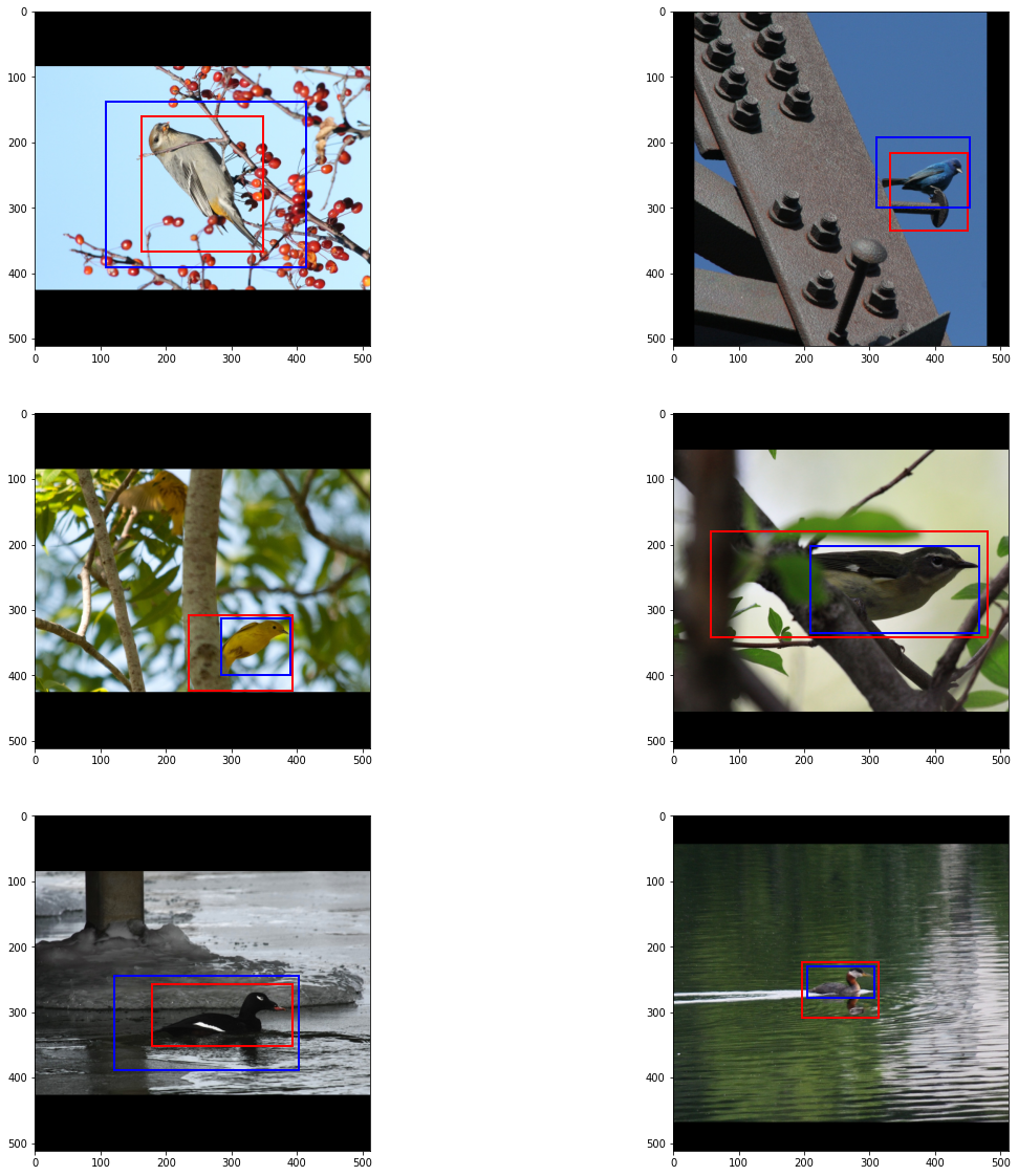 Bird Box. Predicting Bounding Boxes using… | by Daniel Morton | Towards ...