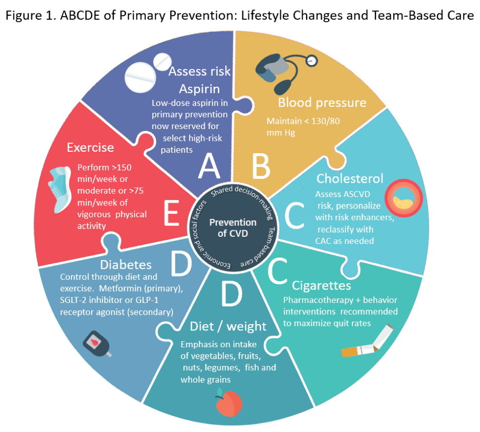 Understanding The New 2019 ACC AHA Guideline On The Prevention Of