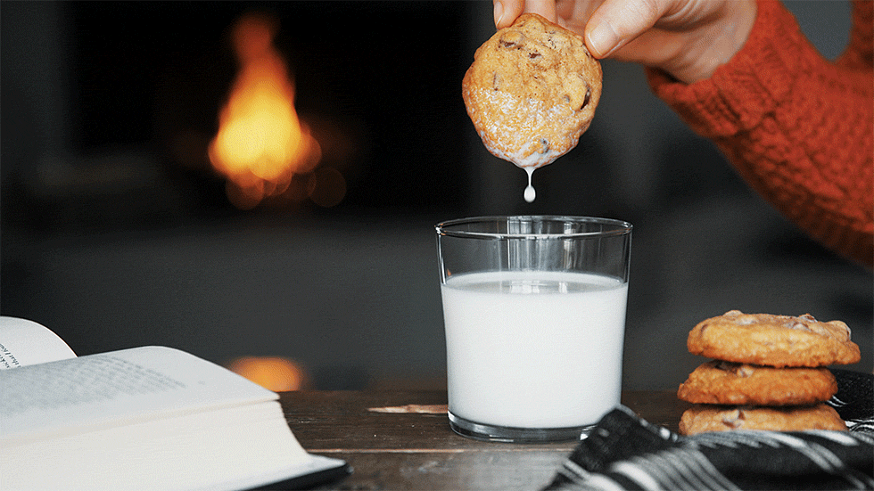 Ich mag Kekse 🍪. EN Version below | by Kuchengnom | productlove | Medium