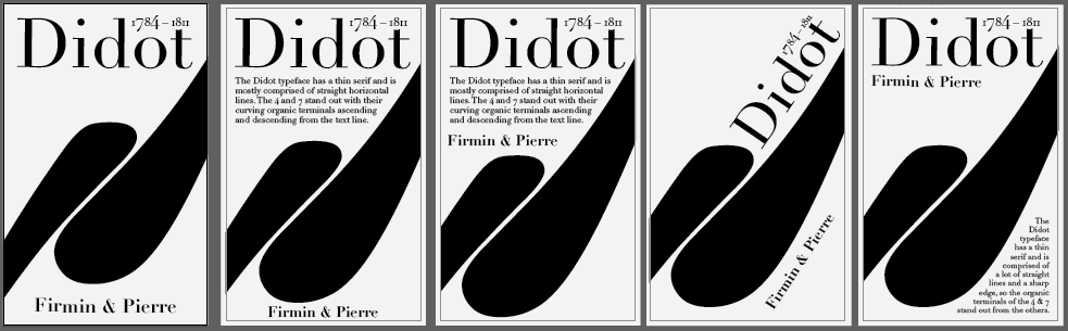 Didot. Type & Hierarchy | by Madeleine Anderson | Communication Design ...