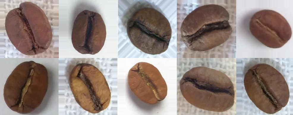 Automation for coffee bean selection | by Rodrigo Pereira | The Startup ...