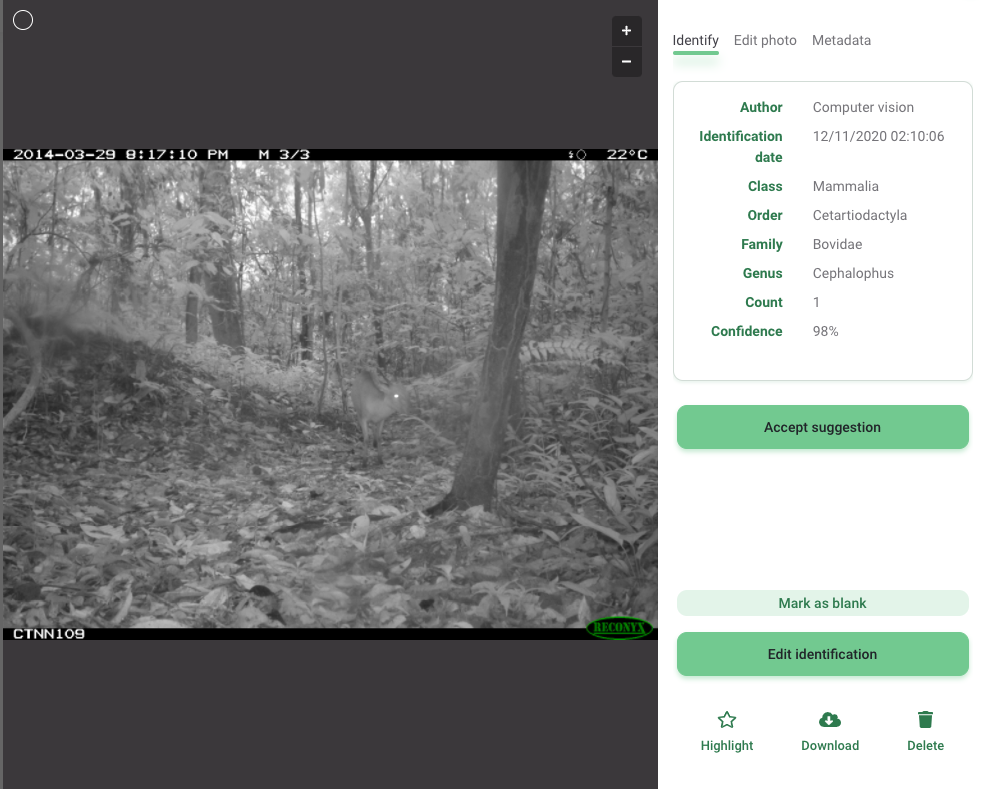 Wildlife Insights sharpens its vision with updated AI model and helps ...