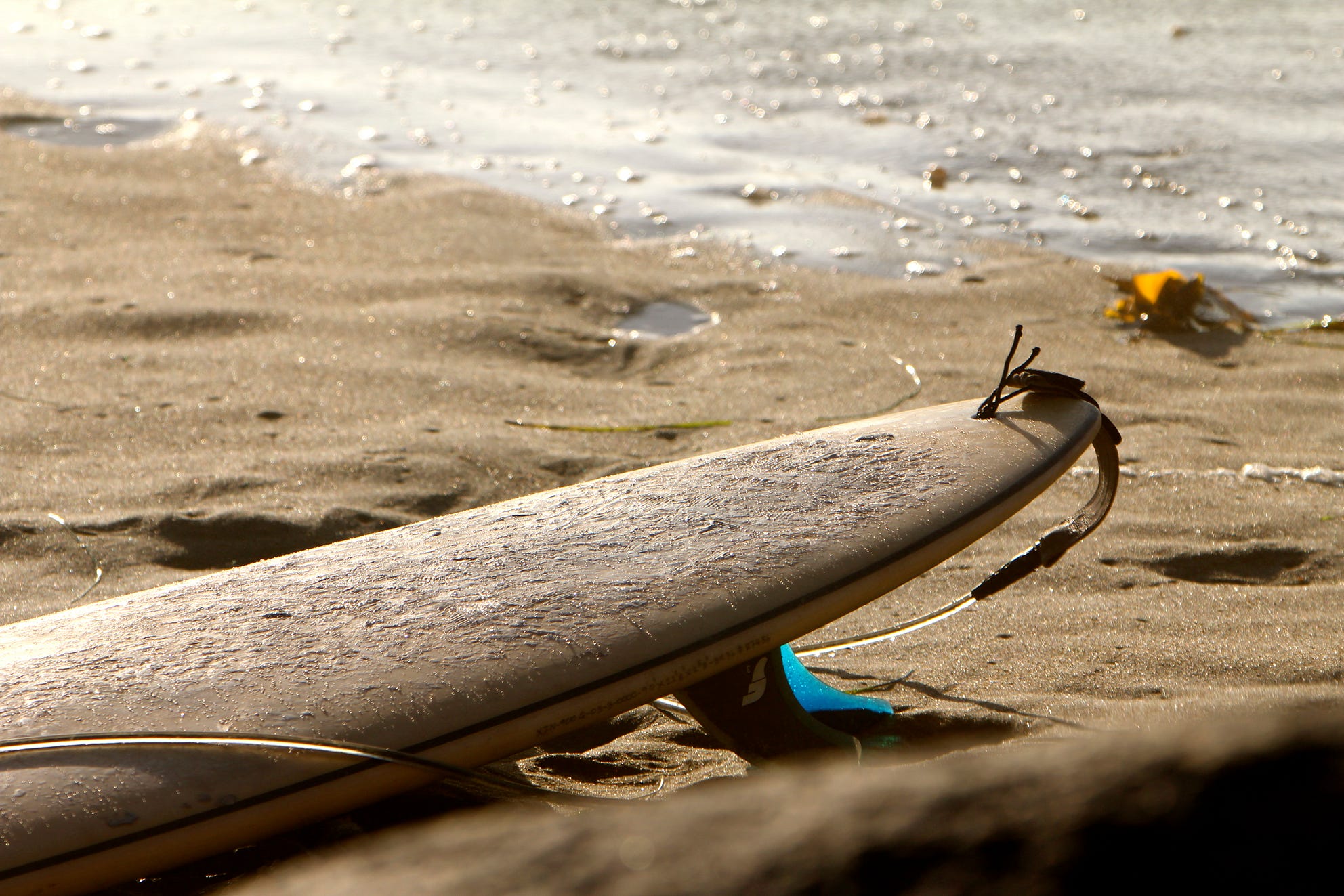 Surfing With Craft Beard. A short collection of surf photos from… | by ...