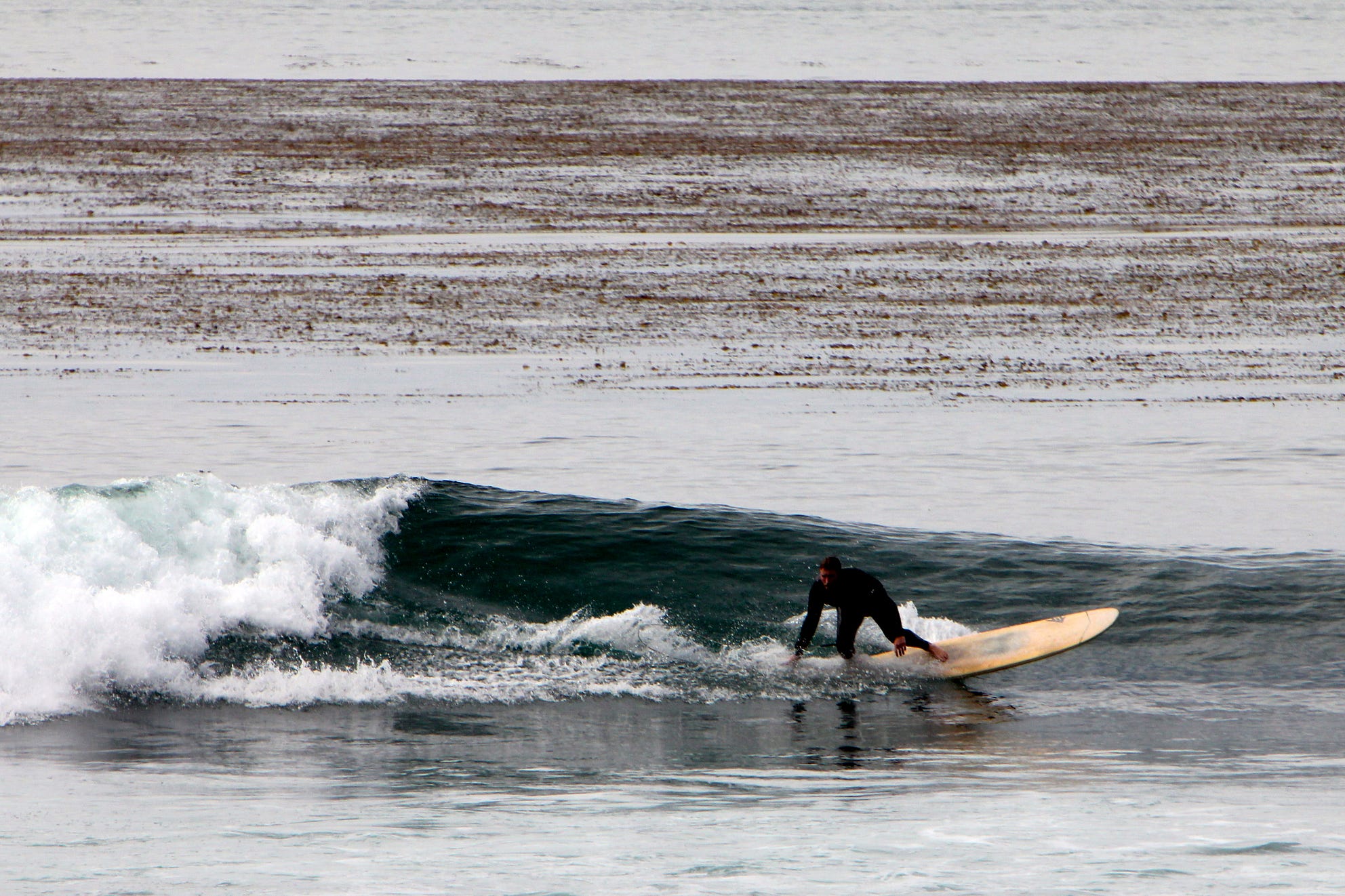 Surfing With Craft Beard. A short collection of surf photos from… | by ...