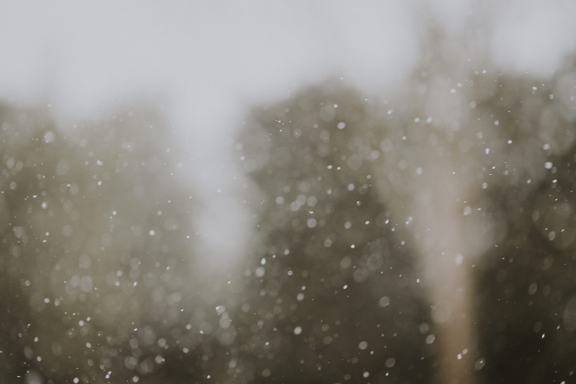 When the World Goes Dark. How to survive apathy | by Lilah Black | Medium