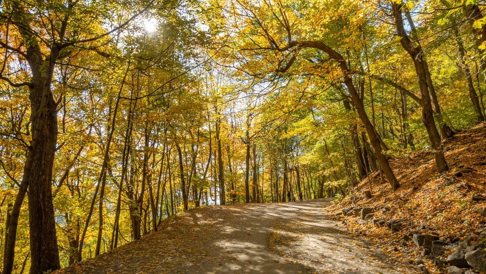 20 Musts in Montreal. Are you visiting Montreal for a few… | by Travel ...