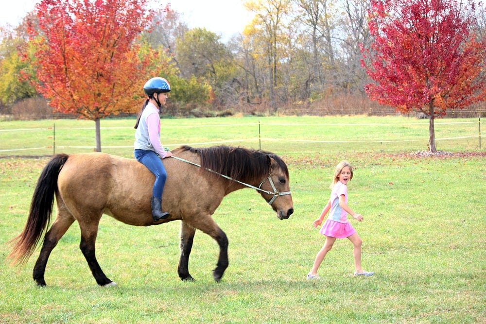 10 Tips for Backyard Horse Ownership | by Claudia Stack | California ...