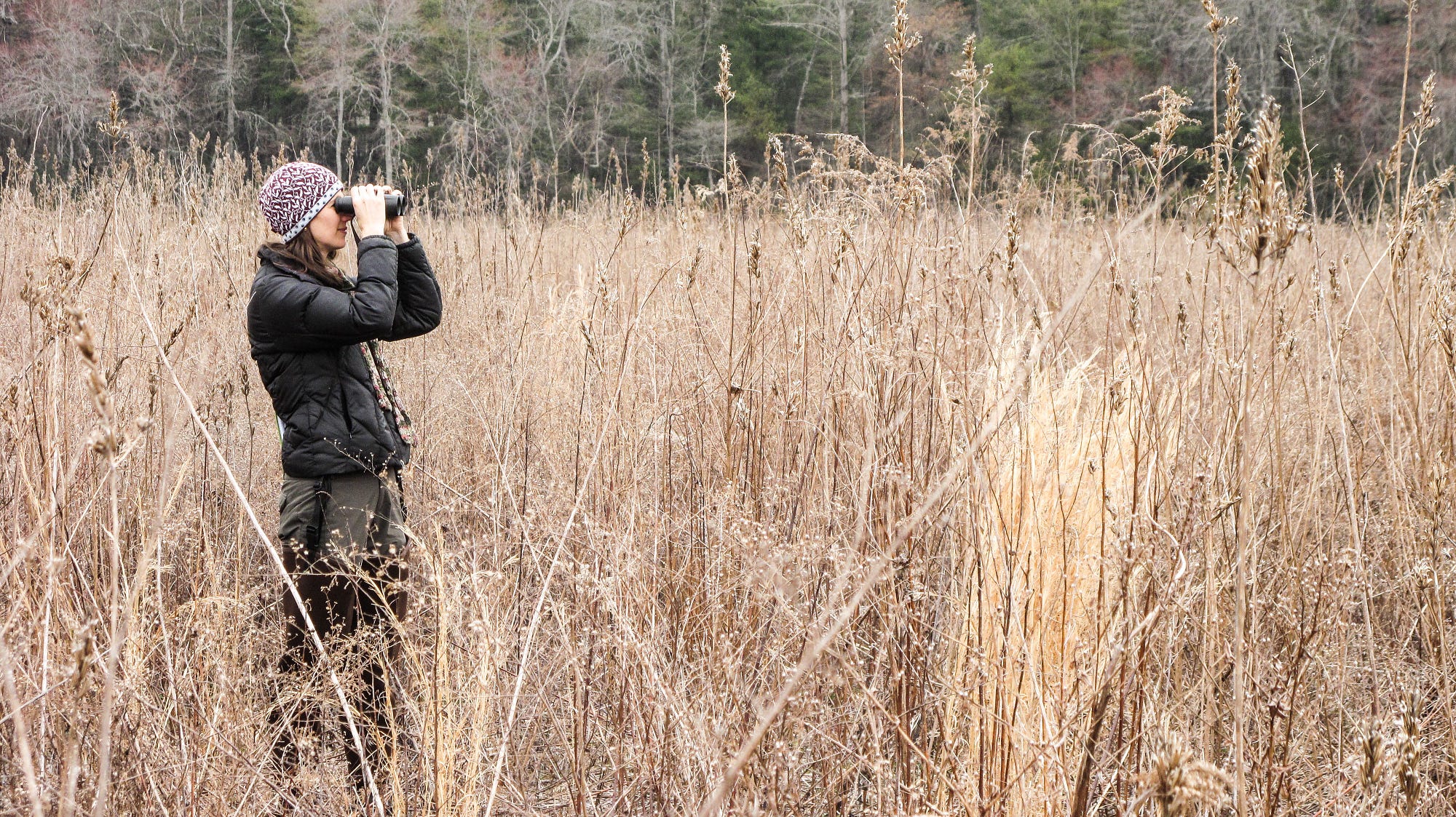 FWS Behind the Lens: Gary Peeples | by USFWS Conservation Library ...