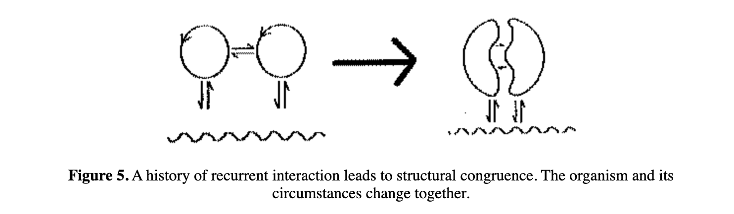 Weeknotes #9: Nature of Order — Structure, Feeling, Form | by Dave Hora ...