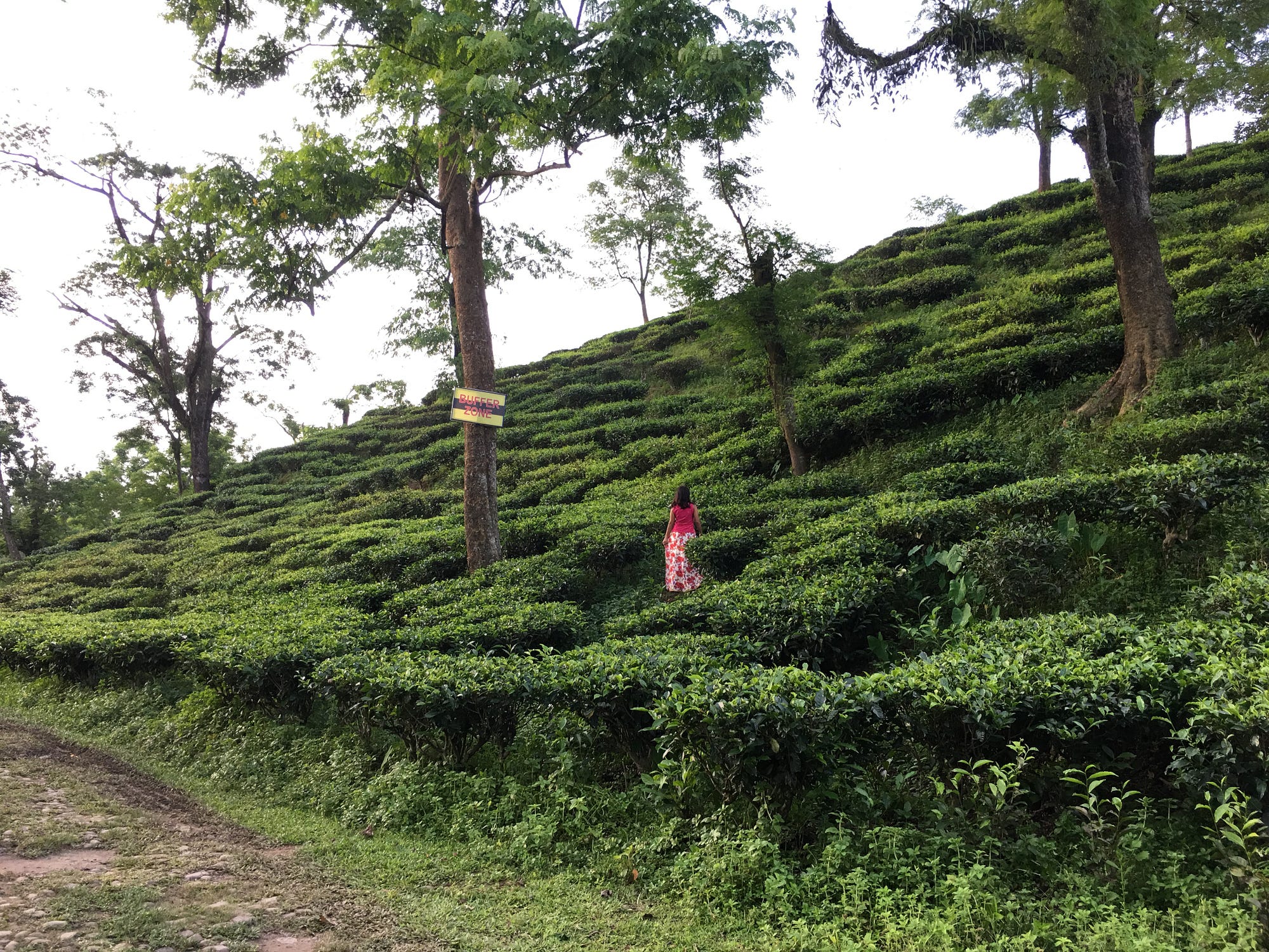 Exploring Hailakandi in Assam. What is offbeat travel? | by Parveen ...