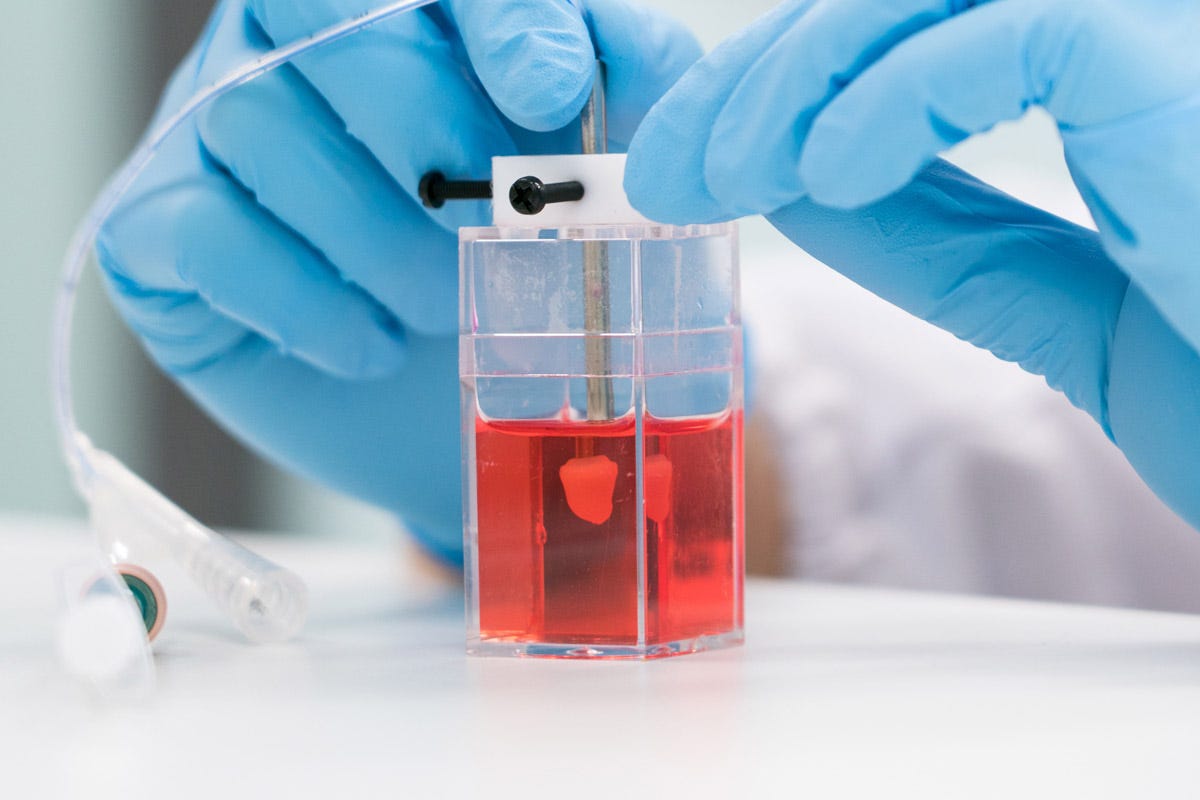Check Out This Beating Mini-Heart in a Jar - NEO.LIFE - Medium