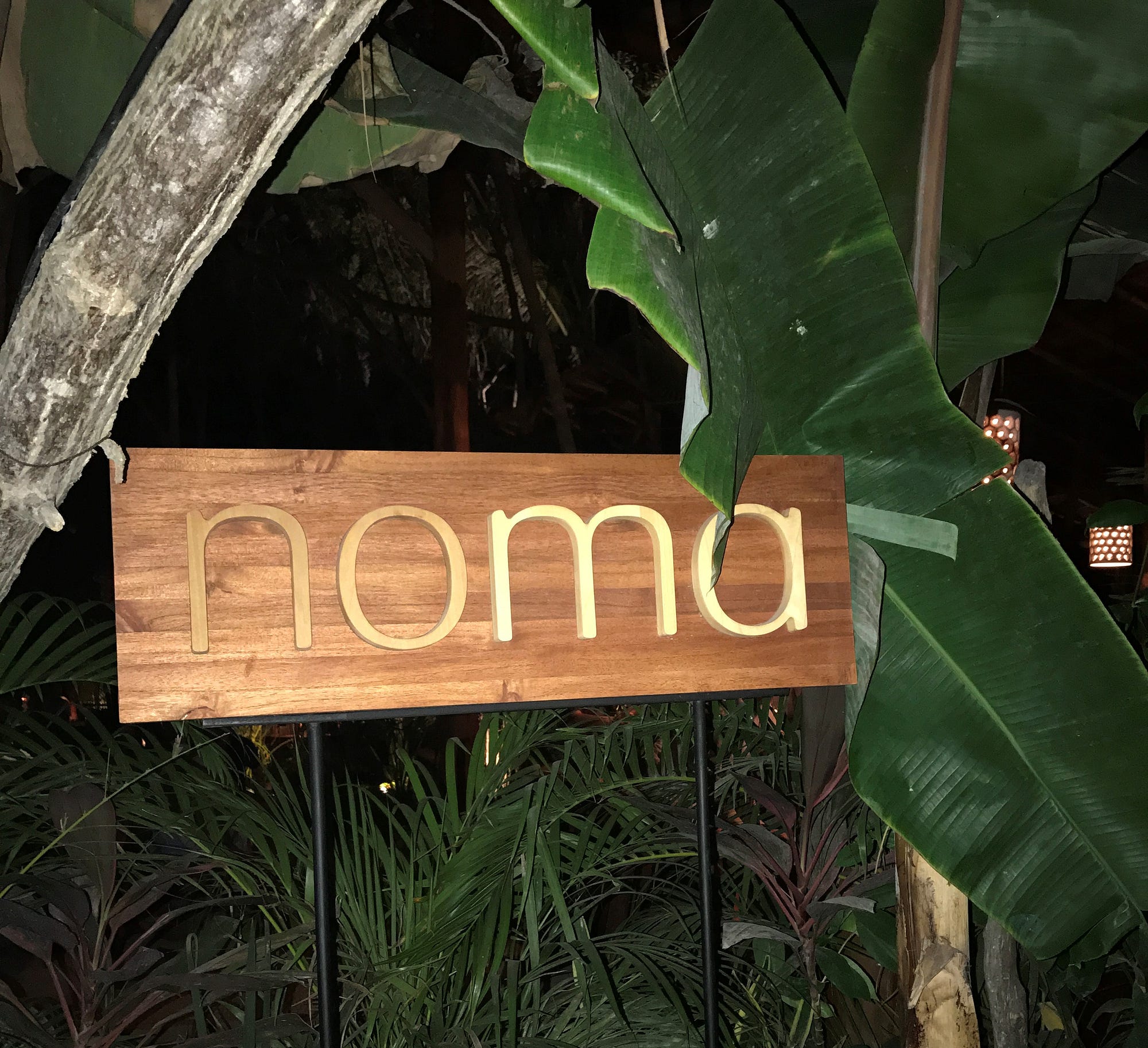 Noma Mexico — A journey from Copenhagen to the Jungle of Tulum | by ...
