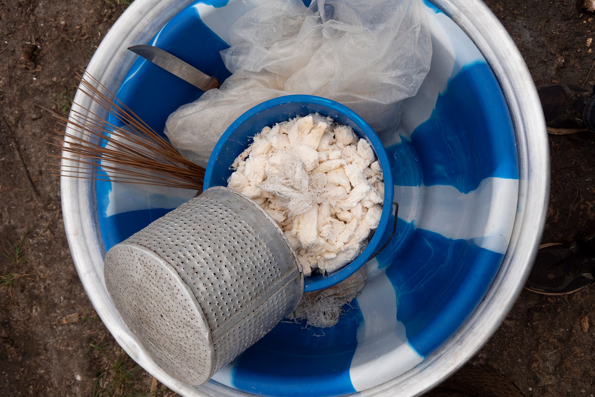 Cassava at the crossroads in Congo | by Jean-Martin Bauer | World Food ...