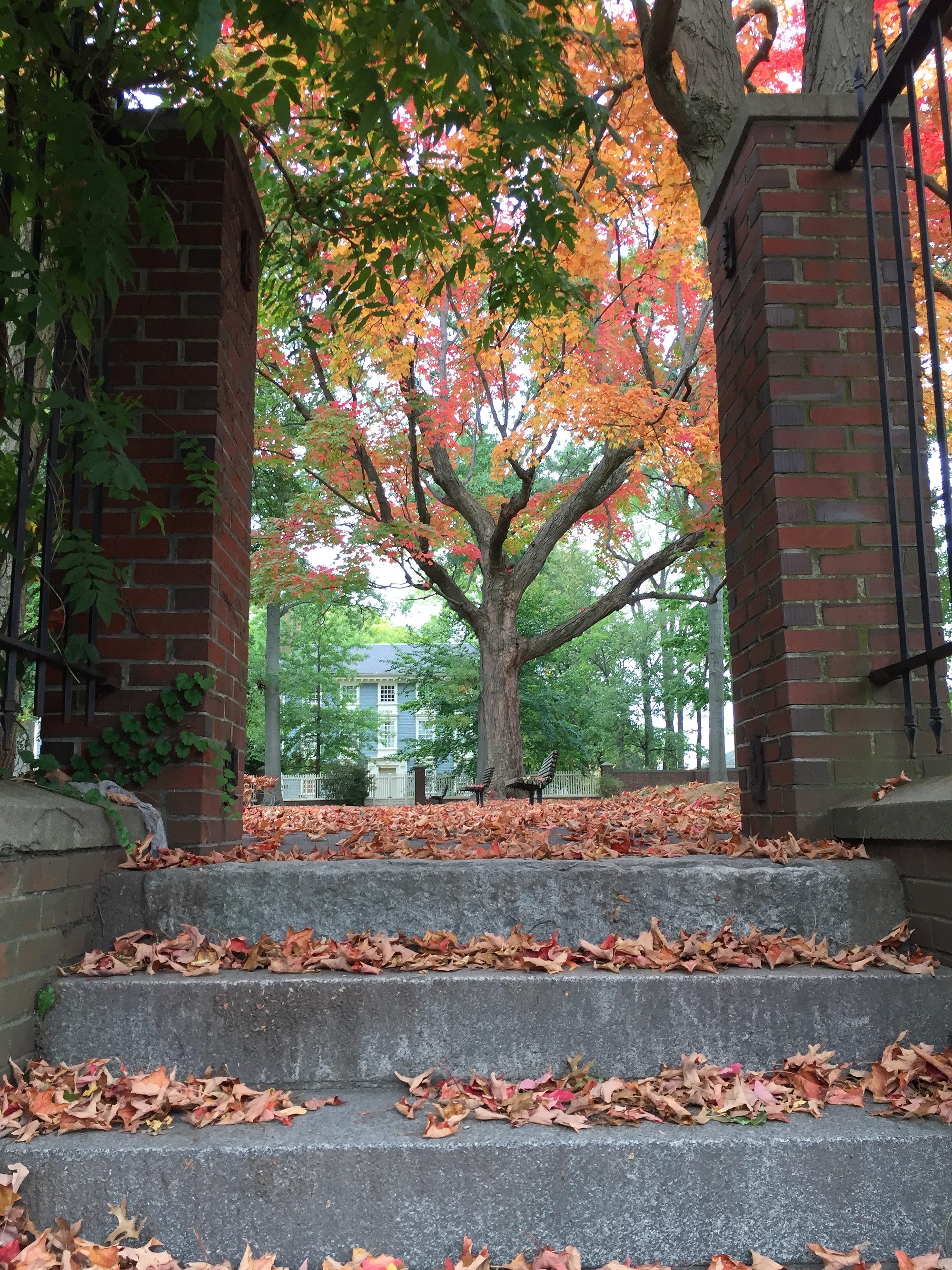 The Age of Autumn. Every year, autumn starts on my… | by Anastasia Owen ...