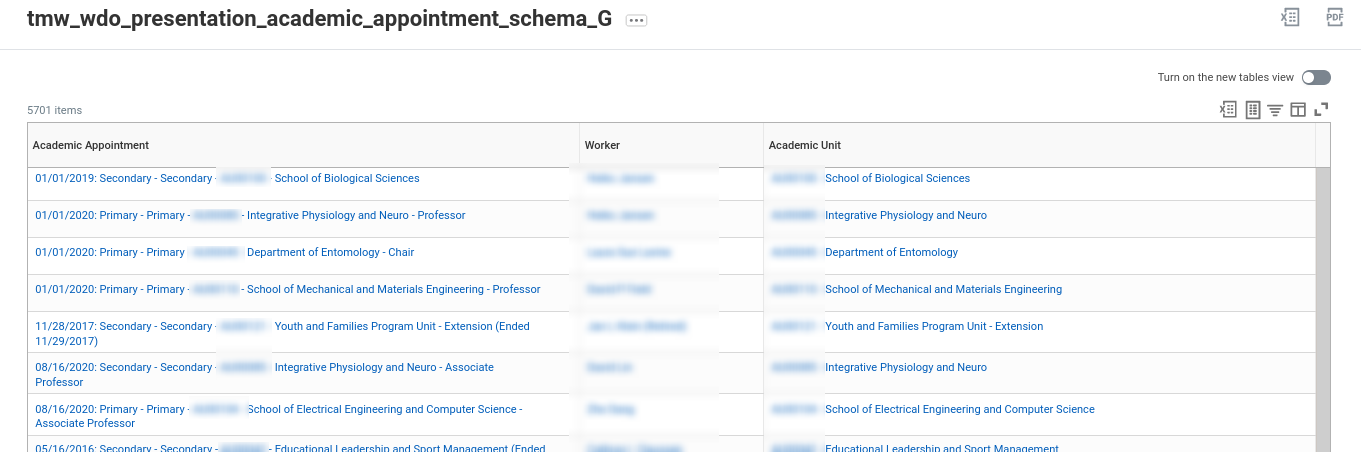 Understanding Workday Data - Structural Ambiguity