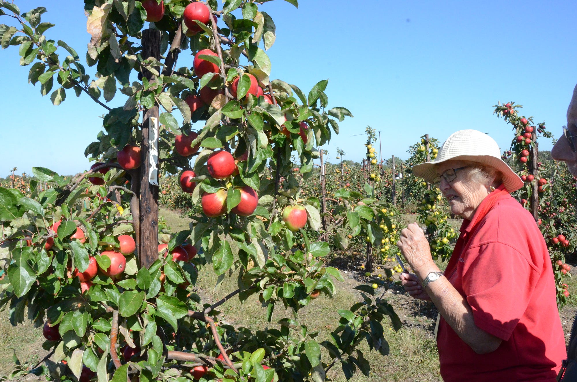 33. September 2019 visits to the world famous Brogdale National Fruit ...