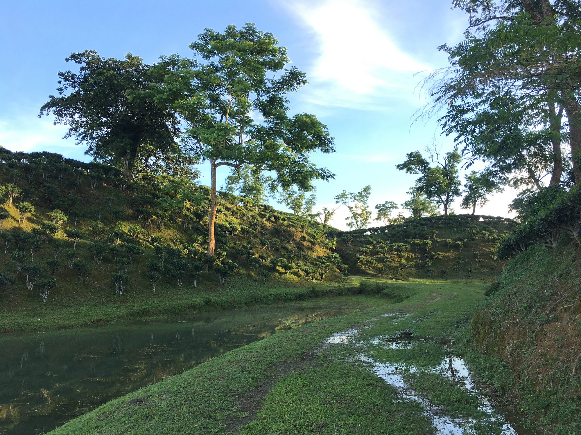 Exploring Hailakandi in Assam. What is offbeat travel? | by Parveen ...