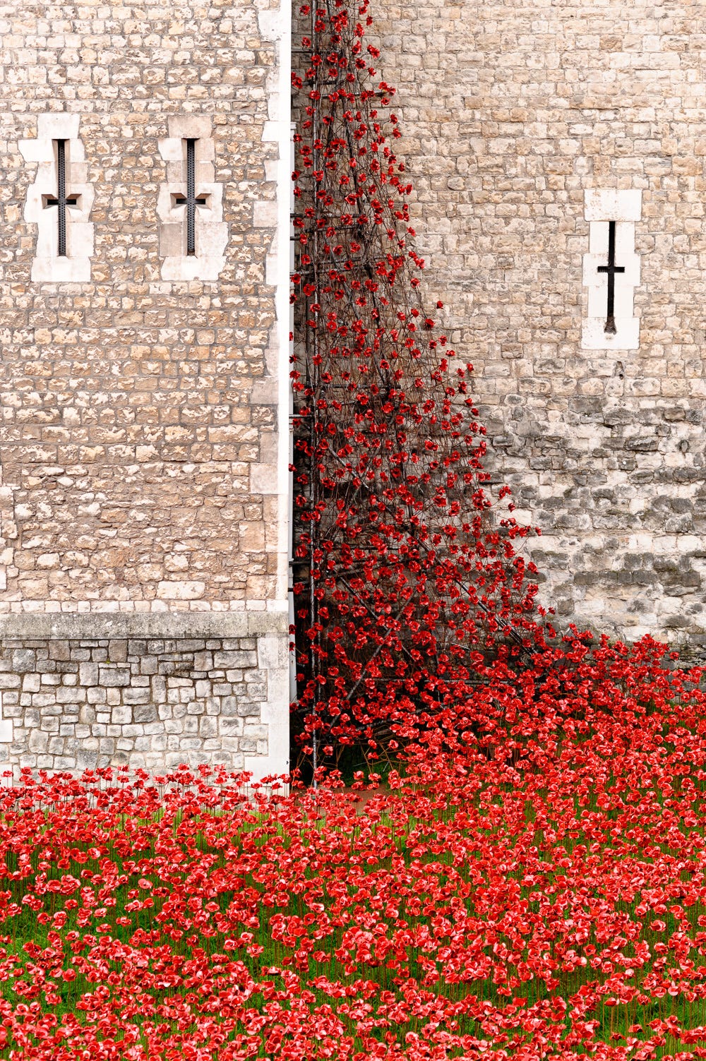 #91+: Tower Bridge and Poppy Field | by Carlo Müller | Medium