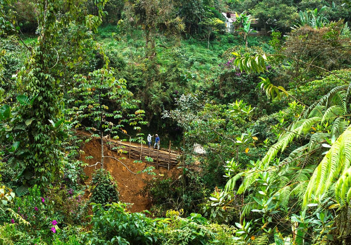 Volunteer Vacation at a Sustainable Farm in Colombia | by Nicholas Gill ...