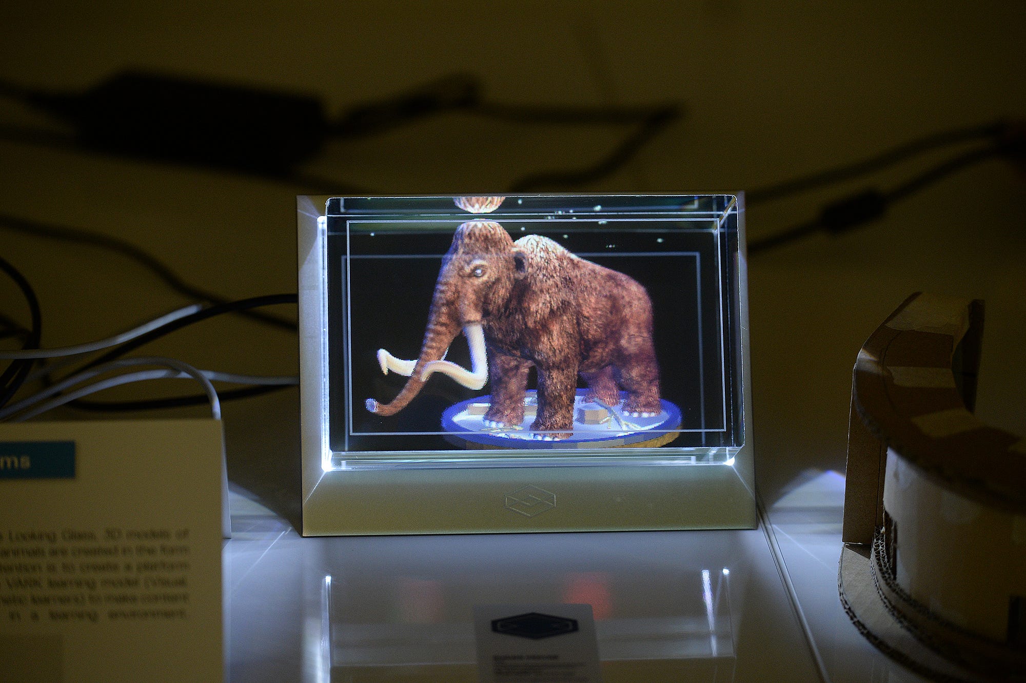 Creating “Rewilding,” An Interactive Medium Between Holograms ...
