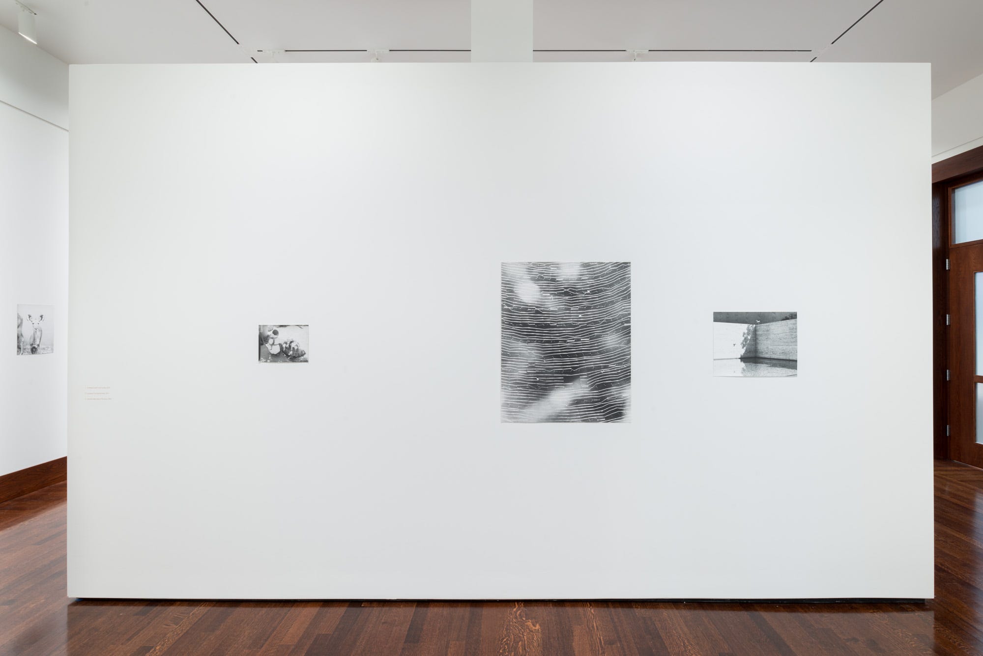 Field Guide: Photographs by Jochen Lempert | by CincyArtMuseum | Medium