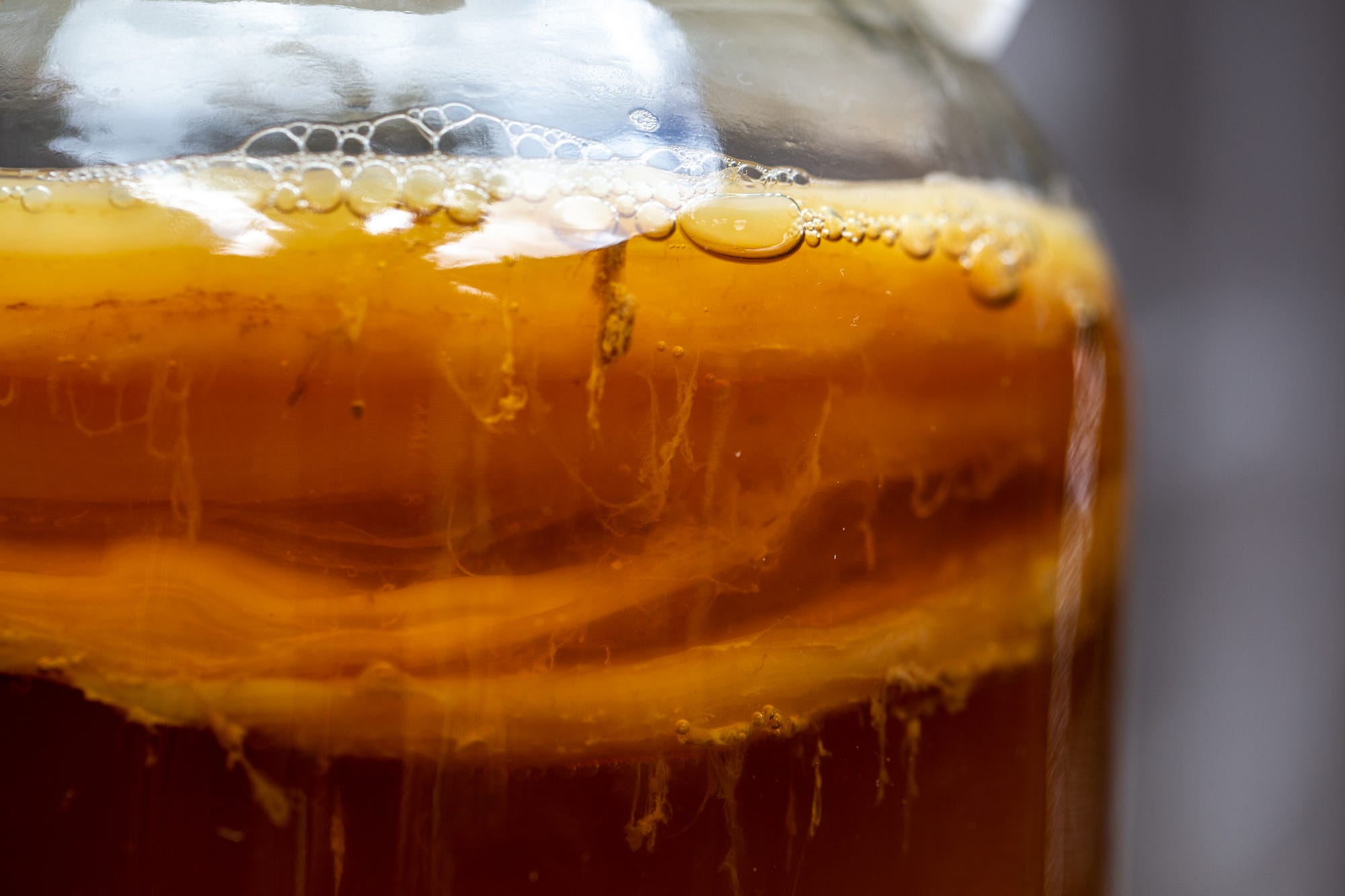 How to Make More Kombucha Than You’ll Know What to Do With | by Jackson ...