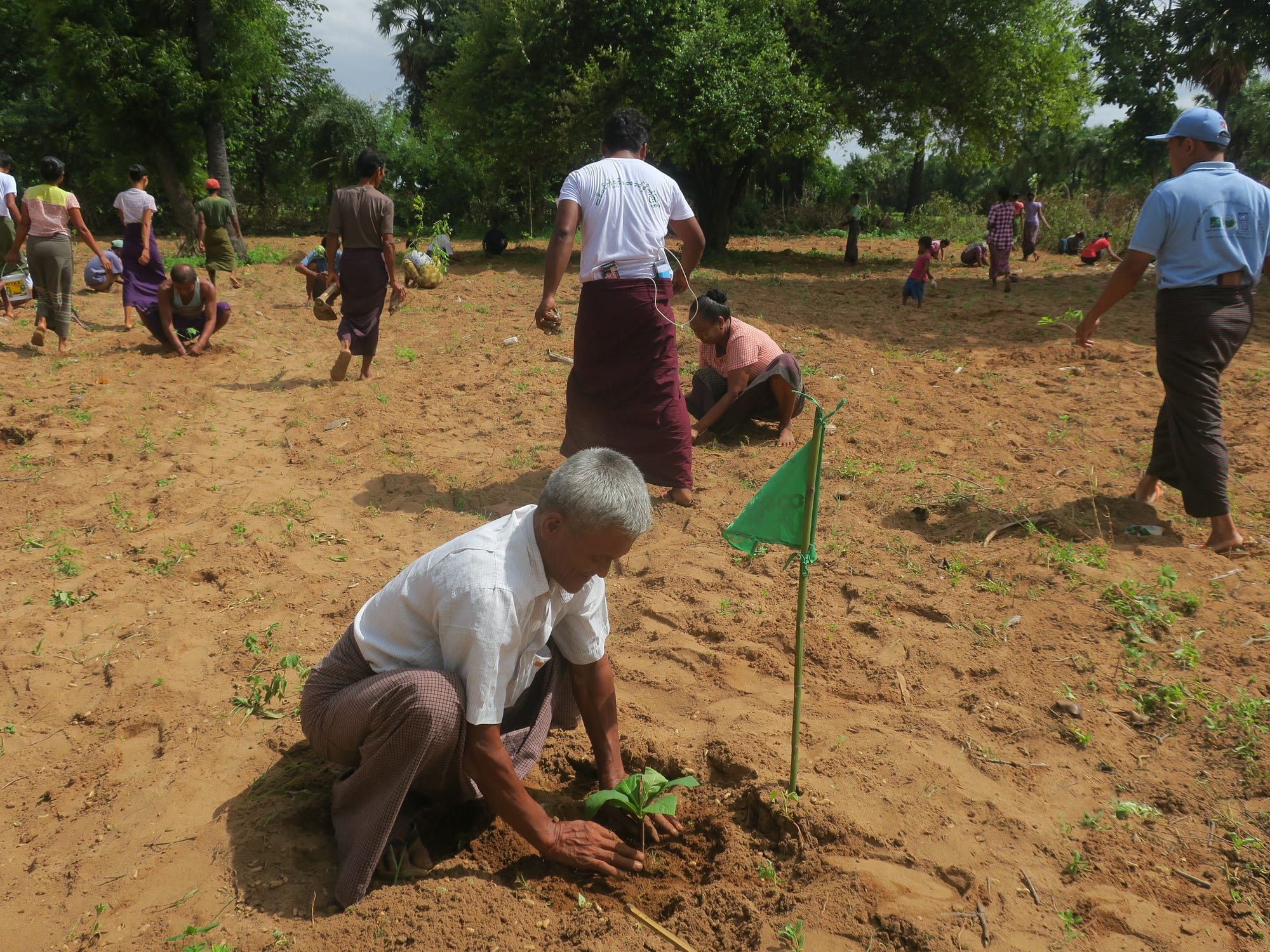 Adapting to Climate Change: Greening the Dry Zone of Myanmar | by Karma ...