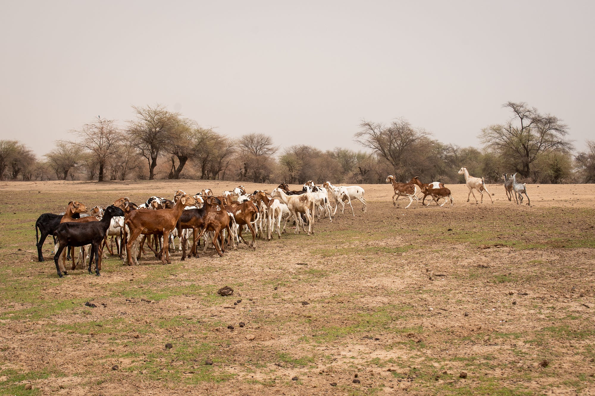 Families face triple threat of climate, conflict and coronavirus in ...
