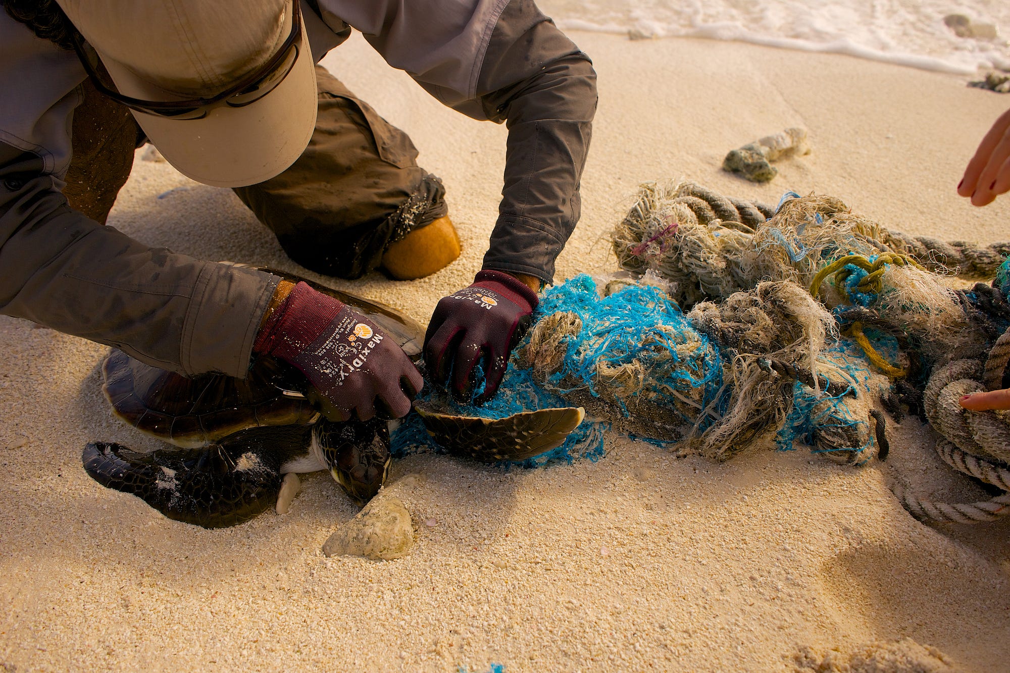 The Trash at the Edge of the World | by U.S. Fish and Wildlife Service ...