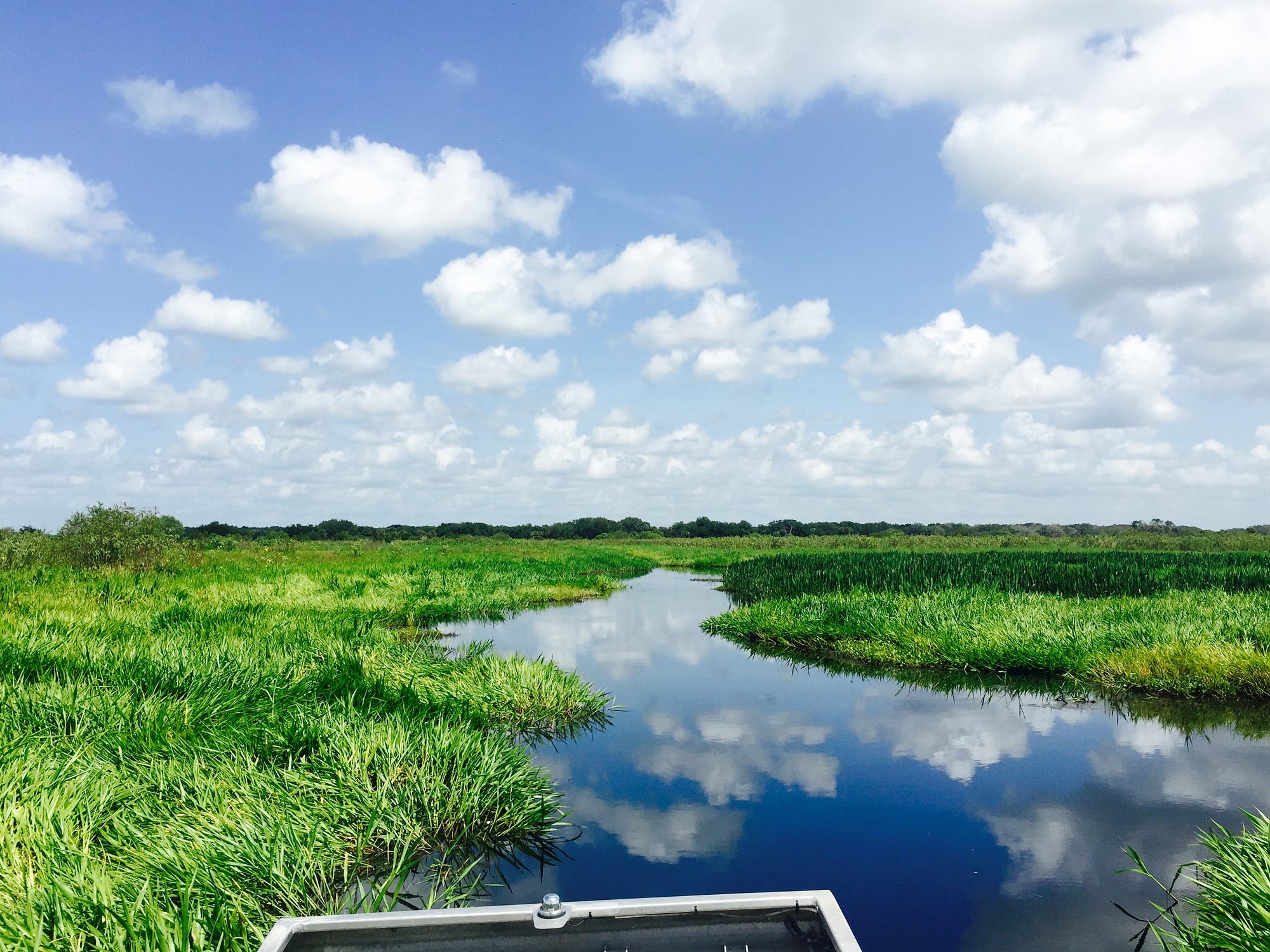 The 100-year rain, the Everglades, and the Lake caught in the middle ...