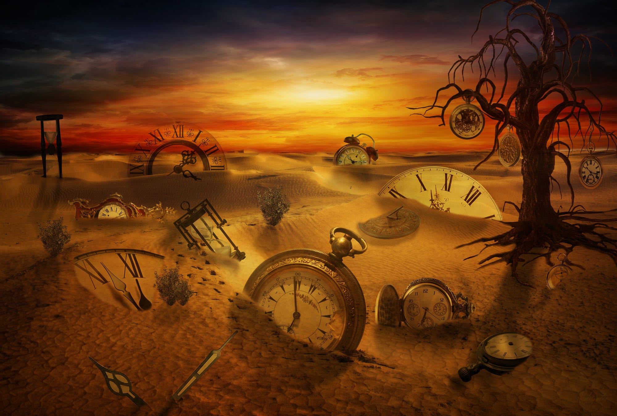 How to Master Your Life Before You Run Out of Time | by Kim Petersen ...