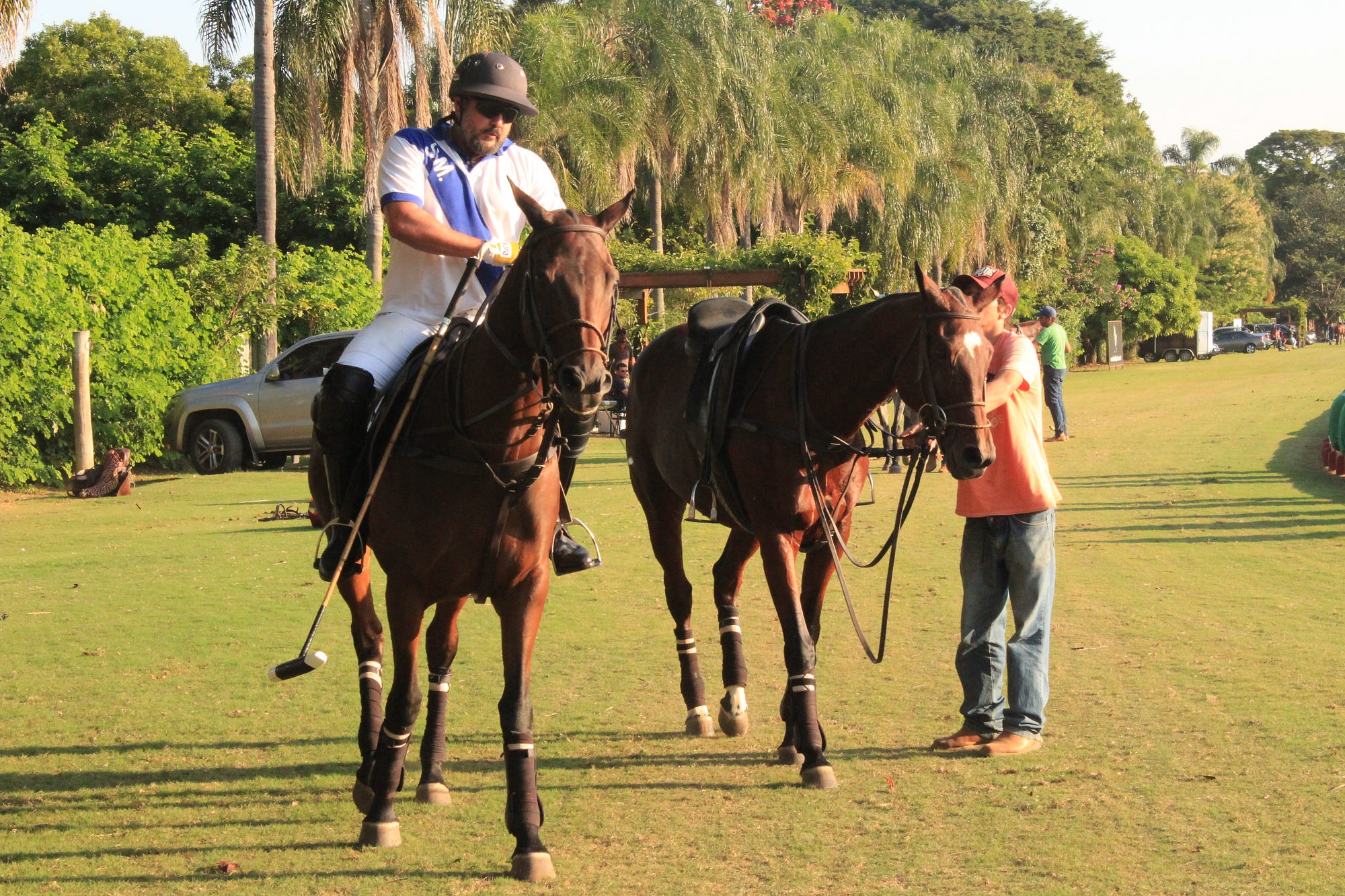 Um olhar para o Polo. Esporte pouco praticado no mundo é um… | by Renê ...