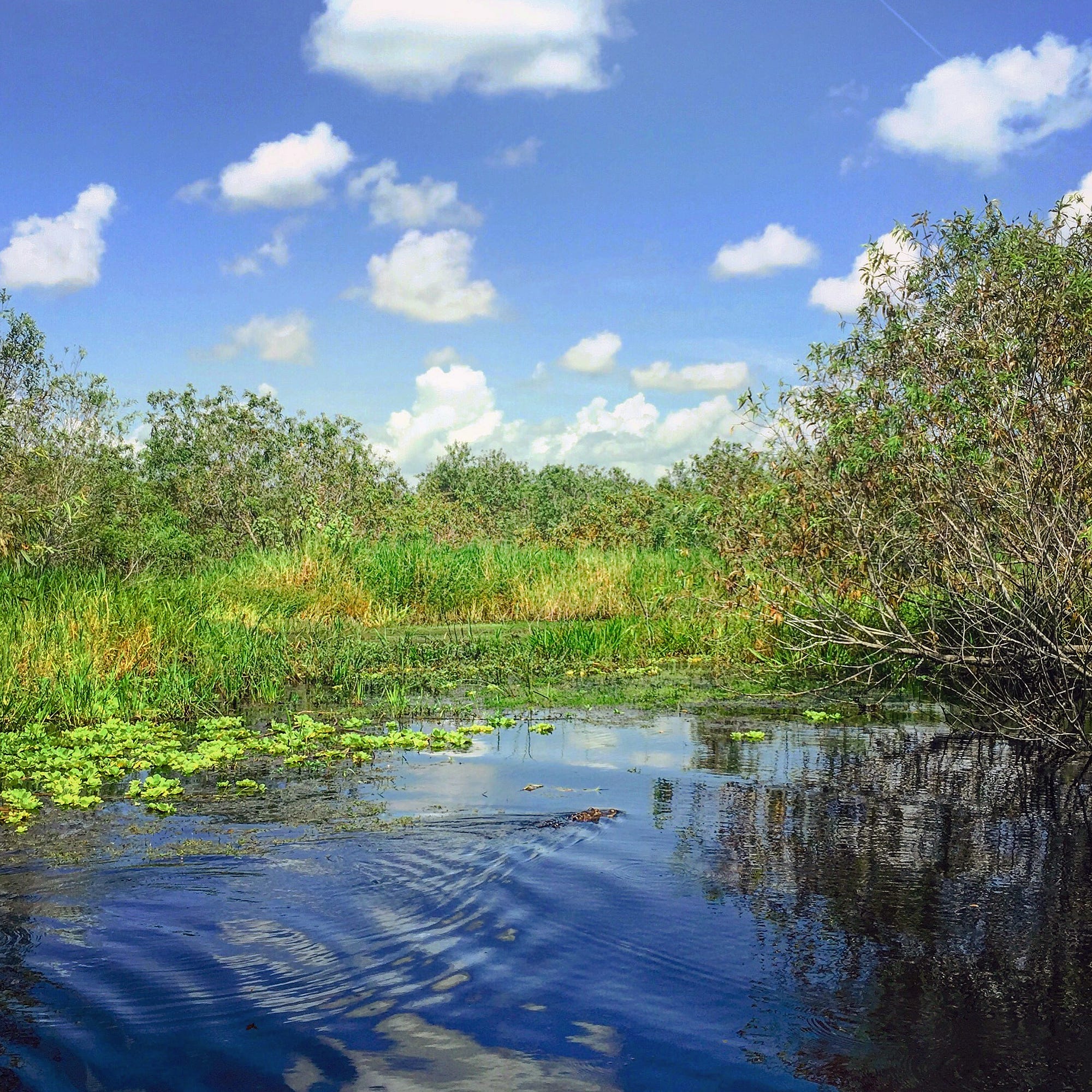The 100-year rain, the Everglades, and the Lake caught in the middle ...