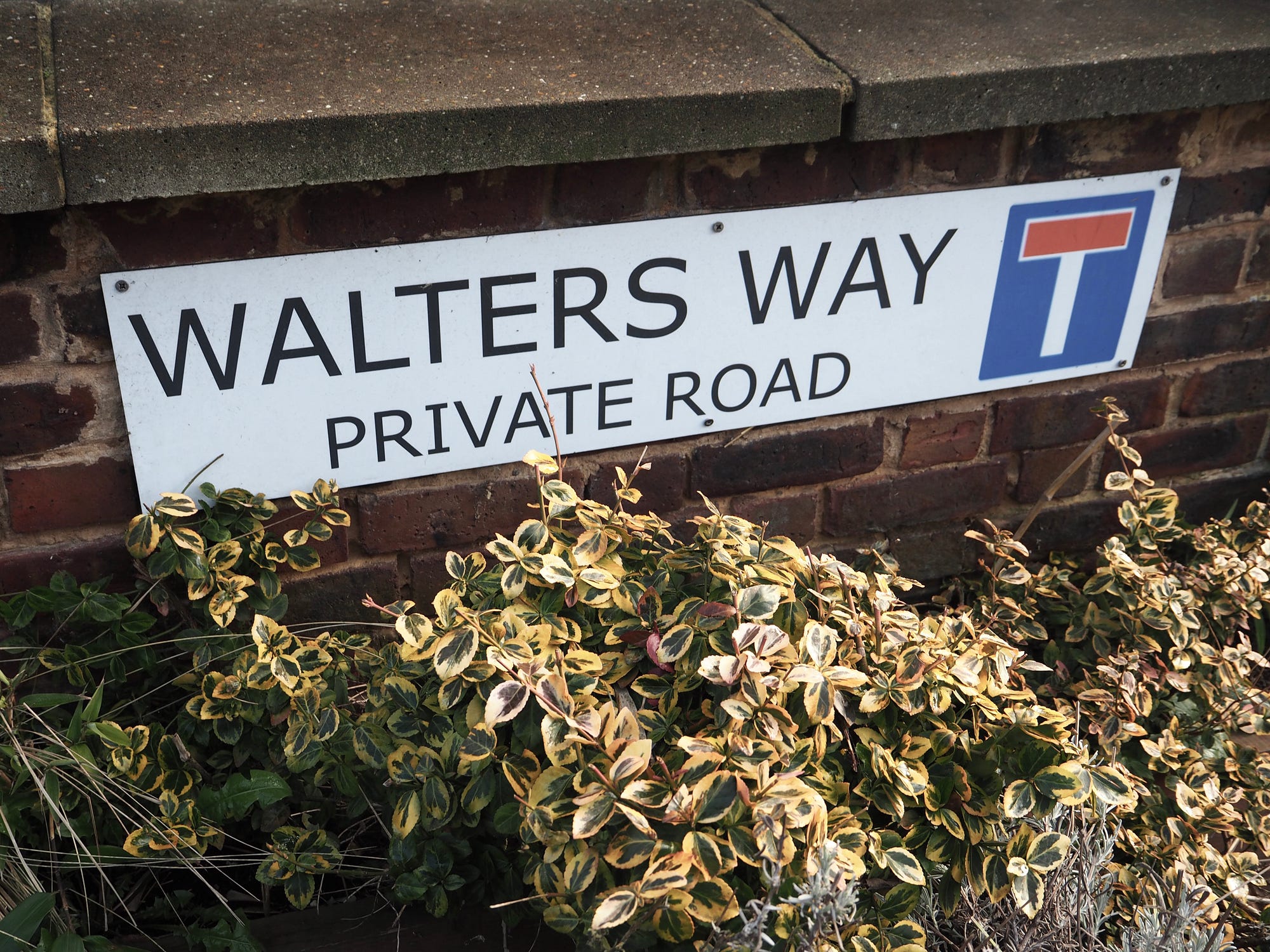 Segal houses, Walters Way. A quiet triumph of self-build housing… | by ...