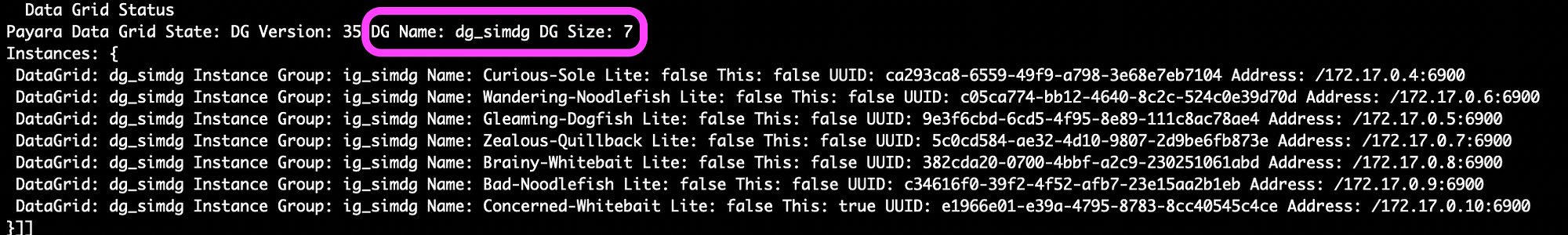 Create Your First In Memory Data Grid With Payara Hazelcast Eclipse Microprofile And Docker