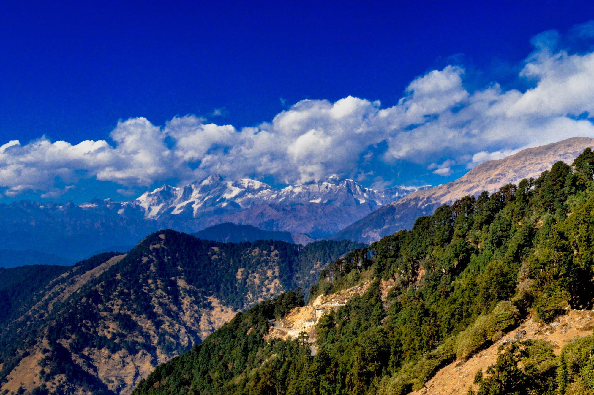 Conquering the Himalayas: A Journey that redefined Nature | by Rahul ...
