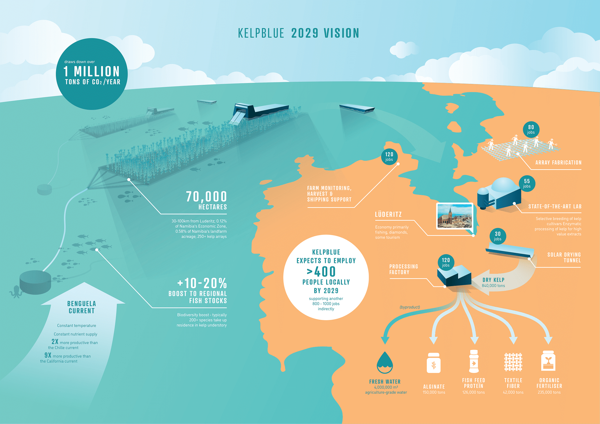 Offshore Kelp Farming. Melihat Bagaimana Kelp Farming menjadi… | by Nur ...