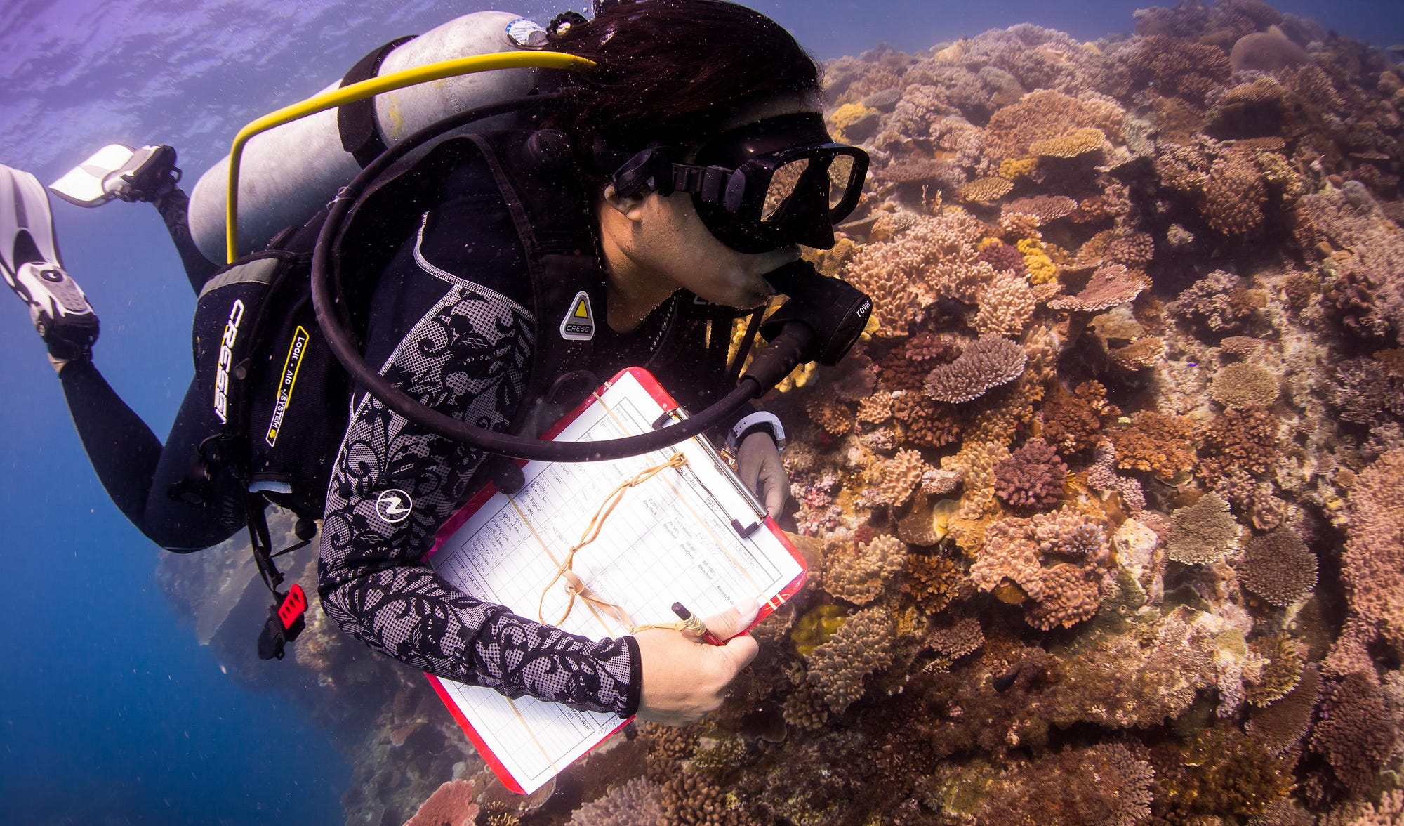A New Technology to Help Protect the World’s Endangered Coral Reefs ...