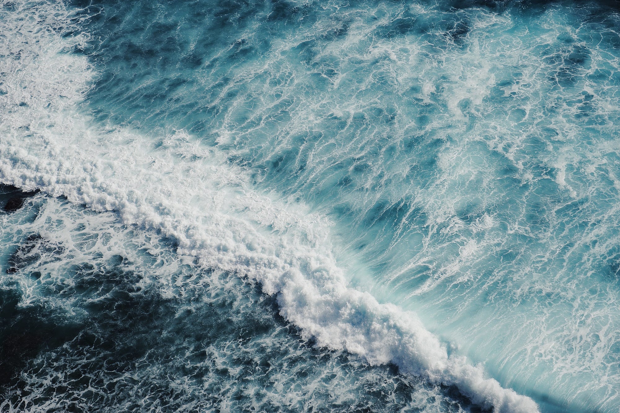 Fishing in the Ocean of Artificial Intelligence 🎣 | by Asish Binu ...