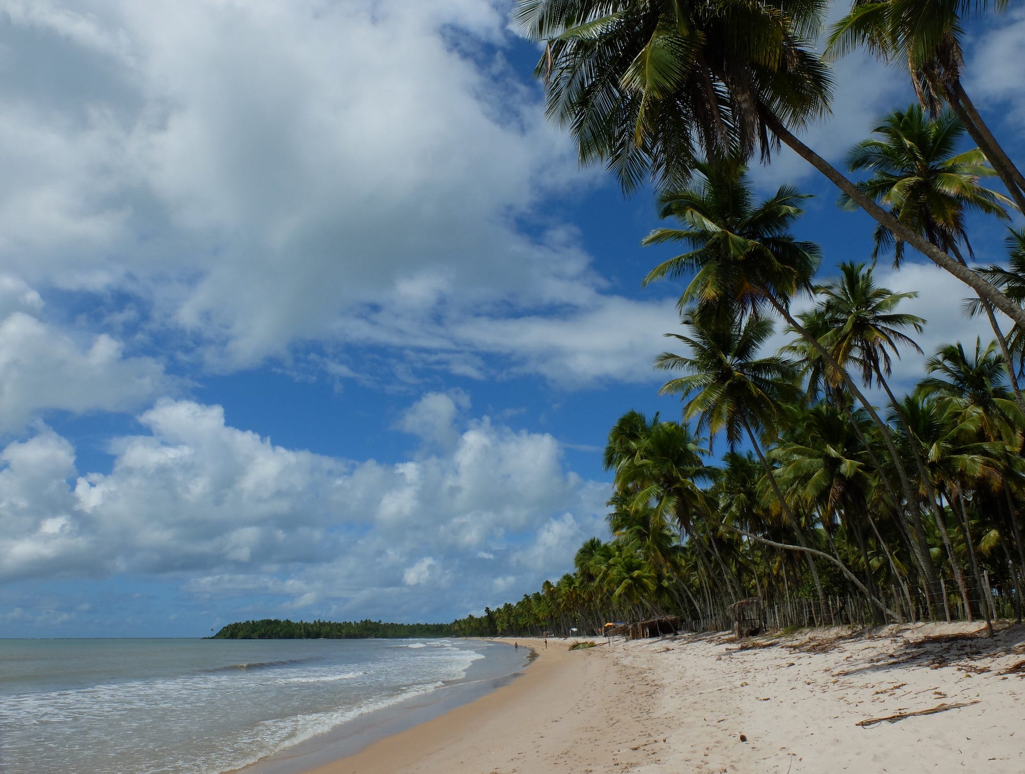 Ilha de Boipeba 🇧🇷. Le trajet jusqu’à Boipeba depuis… | by clem et greg ...
