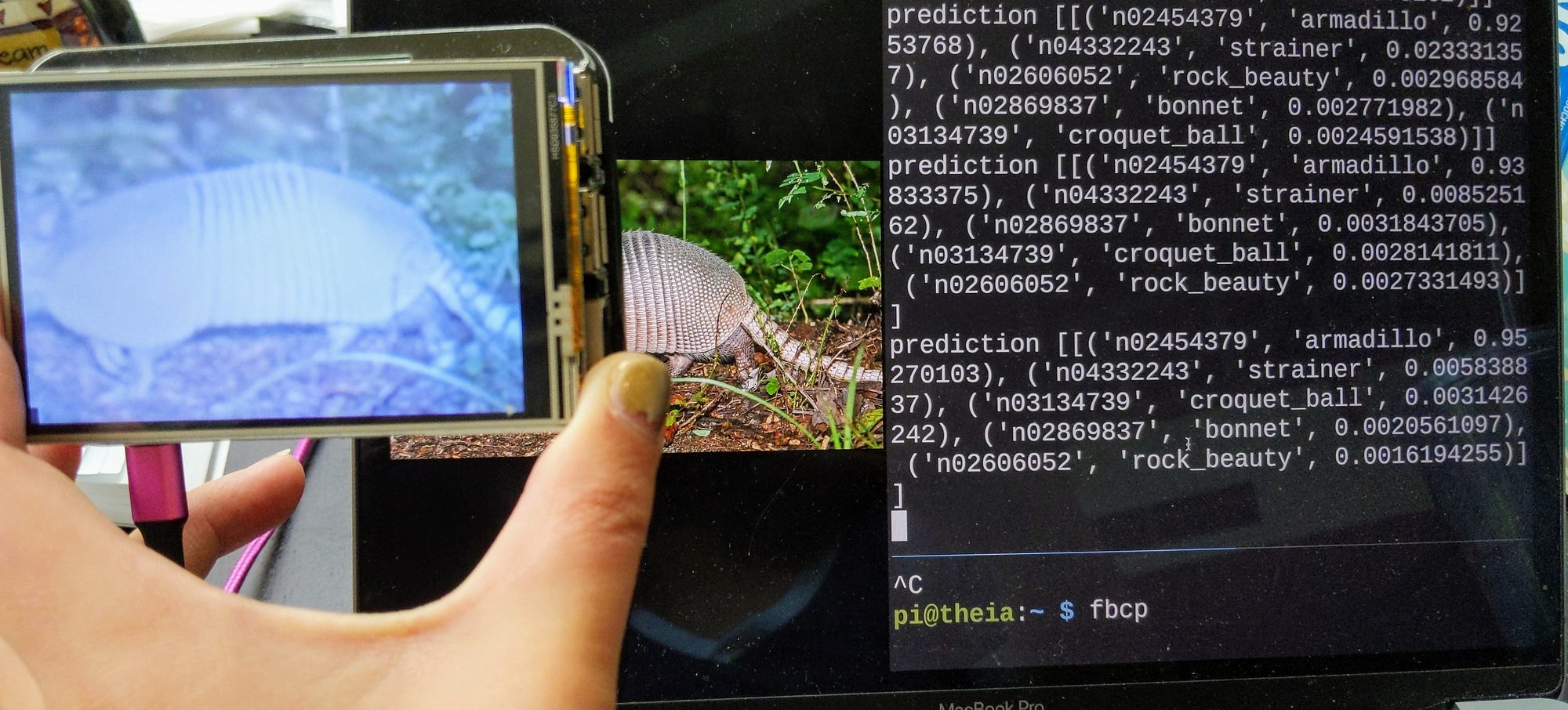 Portable Computer Vision Tensorflow 2 0 On A Raspberry Pi